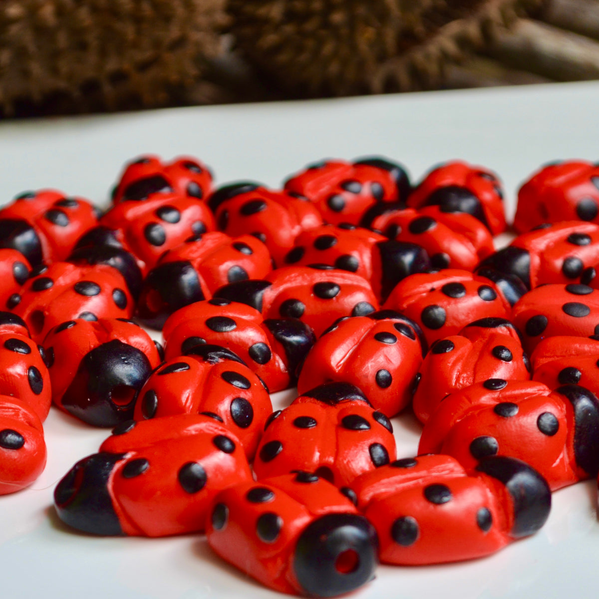 Ladybug Lanyards-Polymer Clay – Lillipop Australia